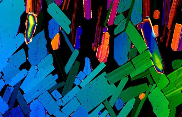 Alcohol Under The Microscope | Amusing Planet